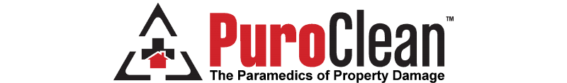 PuroClean Logo with Tag Line 5000pixels wide - FNL